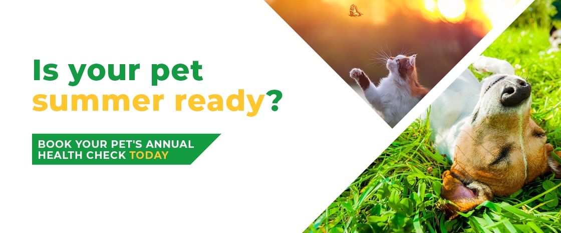 City Vets in Exeter, Devon