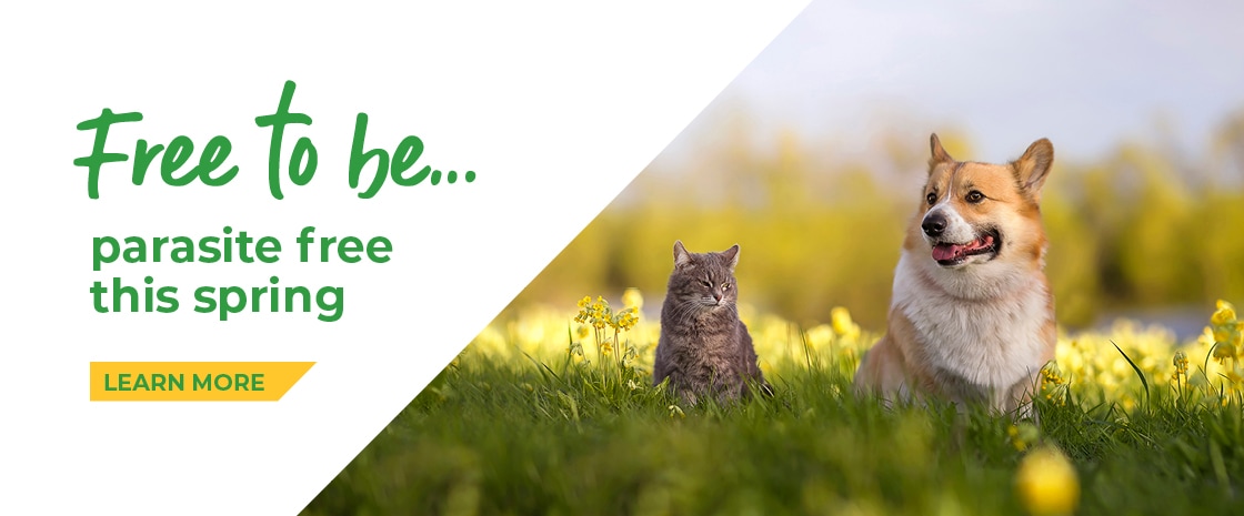 City Vets in Exeter, Devon